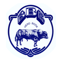 Origin and evolution